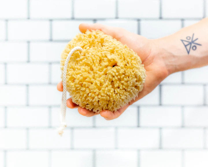 FIRSTHAND SUPPLY SEA WOOL SPONGE – Ultimate Barber Supply